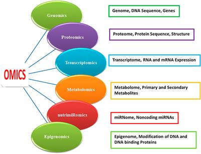 Frontiers | Omics Technology for the Promotion of Nutraceuticals and ...