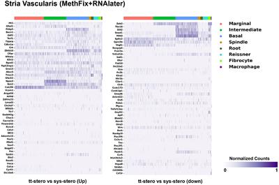 Frontiers | In silico Single-Cell Analysis of Steroid-Responsive Gene ...