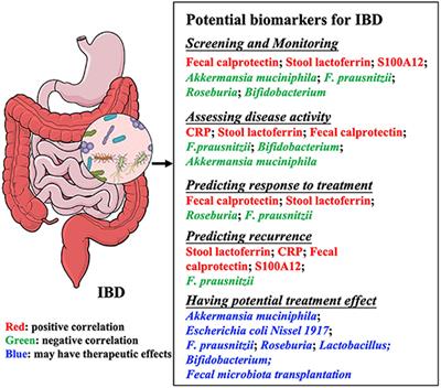 Frontiers | Gut Microbiota Is a Potential Biomarker in Inflammatory ...