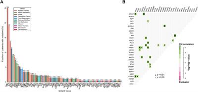 Frontiers | Clinical and Genetic Characteristics of IKZF1 Mutation in ...