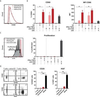 Frontiers | T cell interaction with activated endothelial cells primes ...