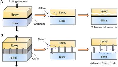 Frontiers | Enhanced Interfacial Properties of Carbon Nanomaterial ...