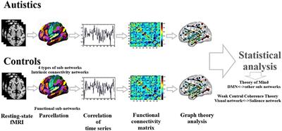 Frontiers | Cognitive theories of autism based on the interactions ...