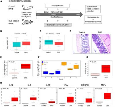 Frontiers | Metagenomics Versus Metatranscriptomics of the Murine Gut ...
