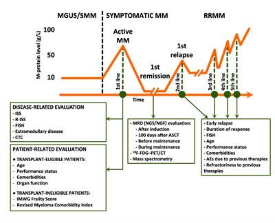 Frontiers | Risk Stratification Before and During Treatment in Newly ...