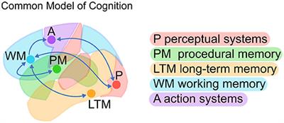 Frontiers | The Structured Mind at Rest: Low-Frequency Oscillations ...