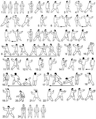 Frontiers | Thoracolumbar Rotation During Tai Chi Movements—A ...