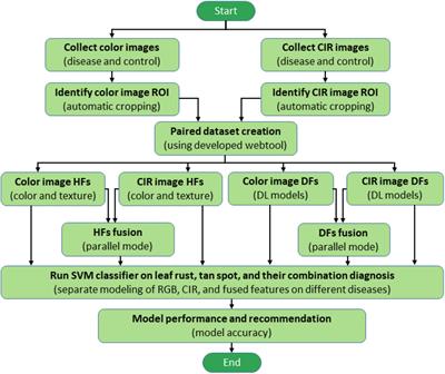 Frontiers | Enhancing Wheat Disease Diagnosis in a Greenhouse Using ...