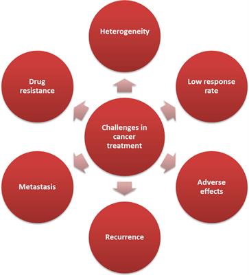 Frontiers | Local Anesthetic Ropivacaine Exhibits Therapeutic Effects ...