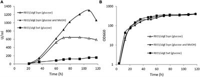 Frontiers | Strain Construction and Process Development for Efficient ...