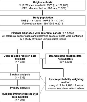 Frontiers | Desmoplastic Reaction, Immune Cell Response, and Prognosis ...