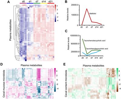 Frontiers | Multi-Omics Uncover Neonatal Cecal Cell Development Potentials