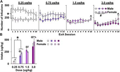 Frontiers | Sex- and Dose-Dependent Differences in the Development of ...