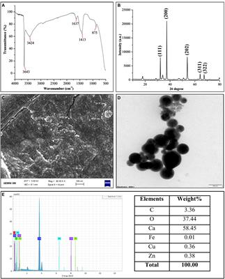 Frontiers | Calcium Oxide Nanoparticles Have the Role of Alleviating ...