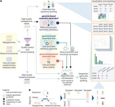Frontiers | MIntO: A Modular and Scalable Pipeline For Microbiome ...