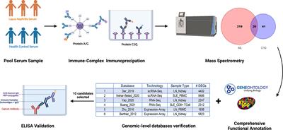 Frontiers | Discovery of Novel Circulating Immune Complexes in Lupus ...