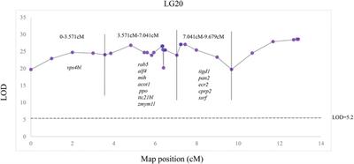 Frontiers | A High-Density Genetic Map and QTL Fine Mapping for Growth ...