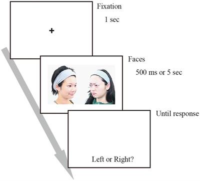 Frontiers | The effects of facial expressions on judgments of others ...