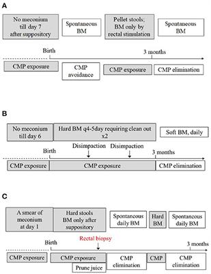 Frontiers | Case Reports of Cow's Milk Protein Allergy Presenting as ...