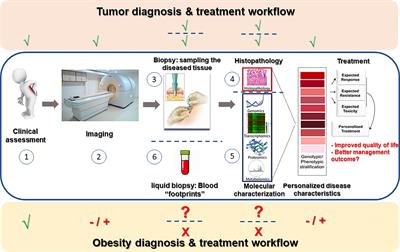 Frontiers | Assessing Obesity-Related Adipose Tissue Disease (OrAD) to ...