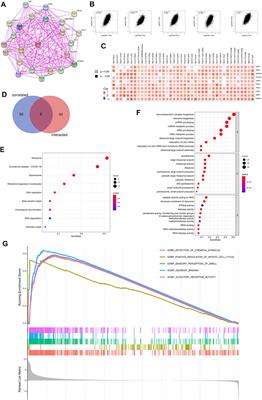 Frontiers | A Pan-Cancer Analysis of the Oncogenic Role of WD Repeat ...