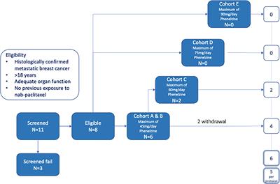 Frontiers | A Phase 1 Proof of Concept Study Evaluating the Addition of ...