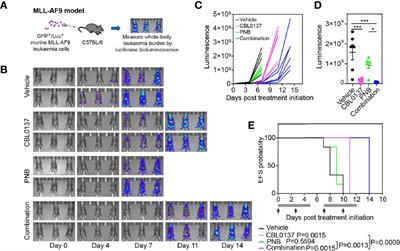 Frontiers | The Combination of Curaxin CBL0137 and Histone Deacetylase ...