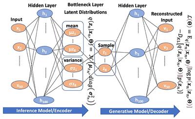 Frontiers | Exploring Factor Structures Using Variational Autoencoder ...