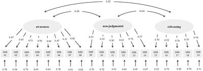 Frontiers | Psychometric Properties of the Mindfulness Inventory for ...