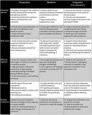 Frontiers | Models of Psychedelic-Assisted Psychotherapy: A ...