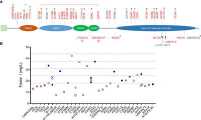 Frontiers | Complement Factor I Variants in Complement-Mediated Renal ...