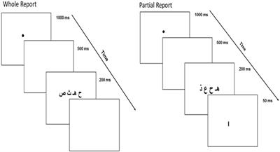 Frontiers | Visual attention span as a predictor of reading fluency and ...