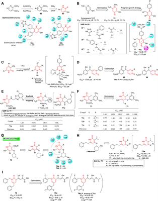 Frontiers | Recent Advances of Pyridinone in Medicinal Chemistry