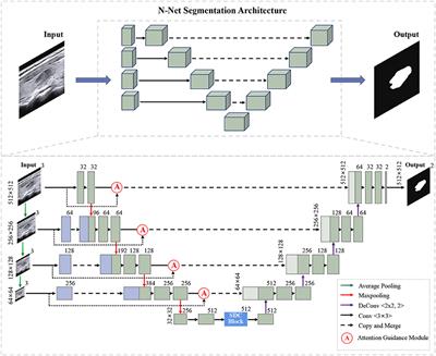 Frontiers | N-Net: A novel dense fully convolutional neural network for ...