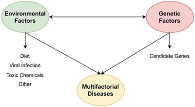 Frontiers | Editorial: Computational and Experimental Approaches in ...