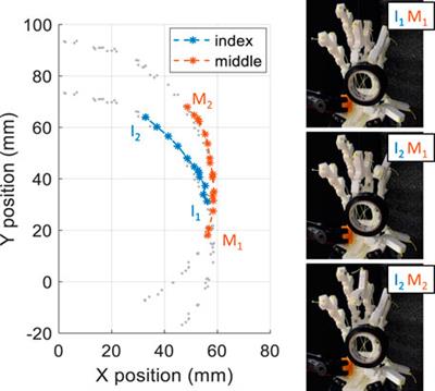 Frontiers | Scalable Fabrication and Actuation of a Human Inspired Hand ...