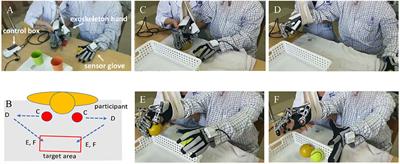 Frontiers | Robot-Assisted Bimanual Training Improves Hand Function in ...