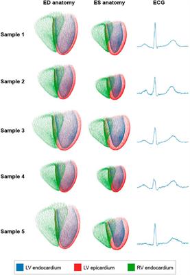 Frontiers | Multi-Domain Variational Autoencoders for Combined Modeling ...