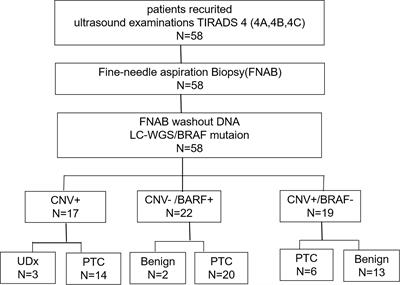 Frontiers | Washout DNA copy number analysis by low-coverage whole ...