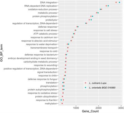 Frontiers | RNA-Seq and Gene Ontology Analysis Reveal Differences ...