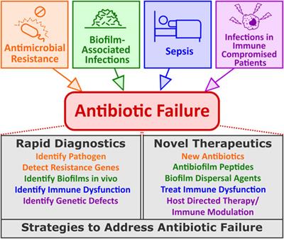 Frontiers | Addressing Antibiotic Failure—Beyond Genetically Encoded ...