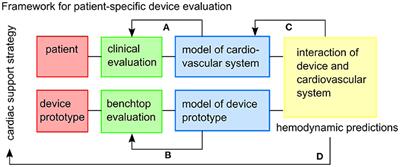Frontiers | Framework for patient-specific simulation of hemodynamics ...
