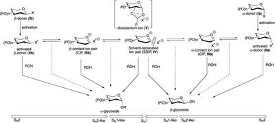 Frontiers | Recent Advances in Stereoselective Chemical O-Glycosylation ...