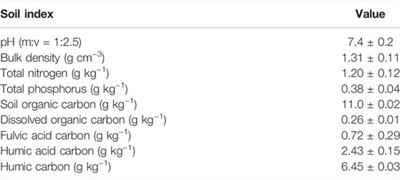 Frontiers | Long-Term Effects of Straw and Straw-Derived Biochar on ...
