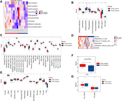 Frontiers | Comprehensive analysis for clarifying transcriptomics ...