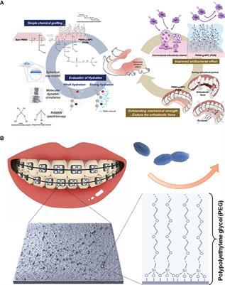 Frontiers | Dental Materials for Oral Microbiota Dysbiosis: An Update