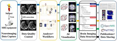 Frontiers | Project, toolkit, and database of neuroinformatics ...