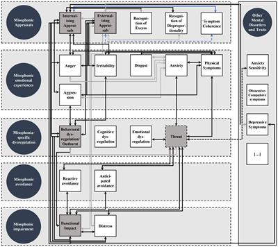 Frontiers | A nomological network for misophonia in two German samples ...