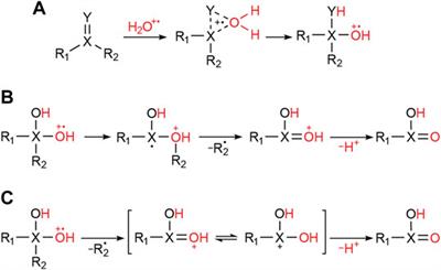 Frontiers | Spontaneous Water Radical Cation Oxidation at Double Bonds ...
