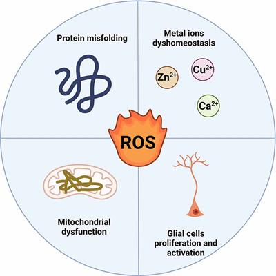 Frontiers | Deconvoluting the Complexity of Reactive Oxygen Species ...